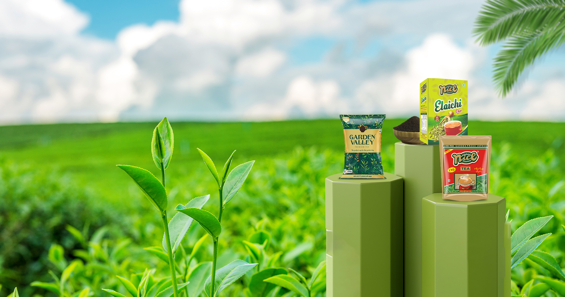 The Nice Tea – India’s Best Tea Brand | Authentic Tea